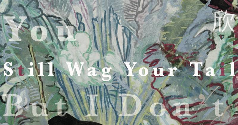 雨果曐 Gallery：【You Still Wag Your Tail, But I Don’t Deserve It】洪永欣 個展 - 非 ...