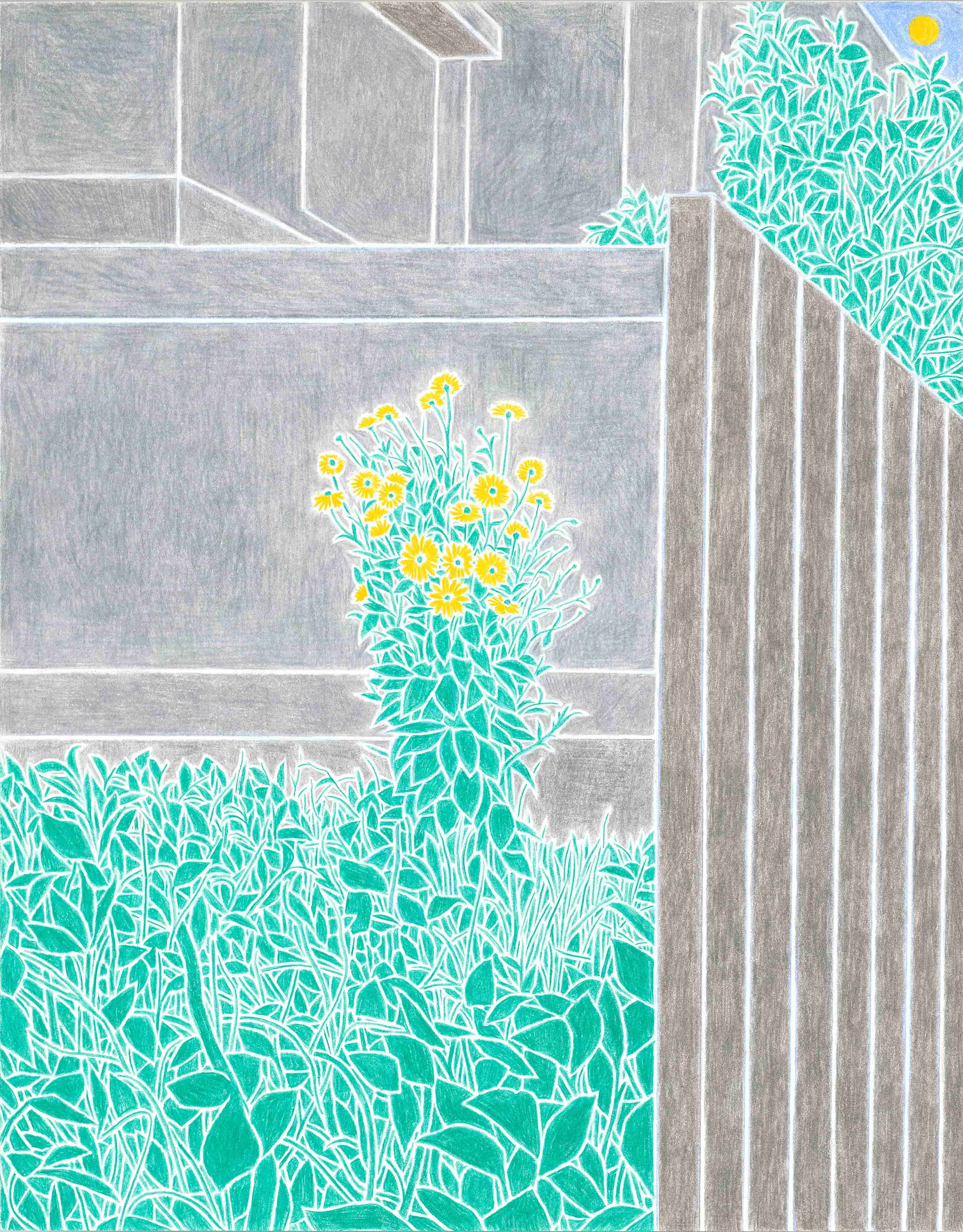 Timothy BAIR-Corner Growth - 非池中藝術網