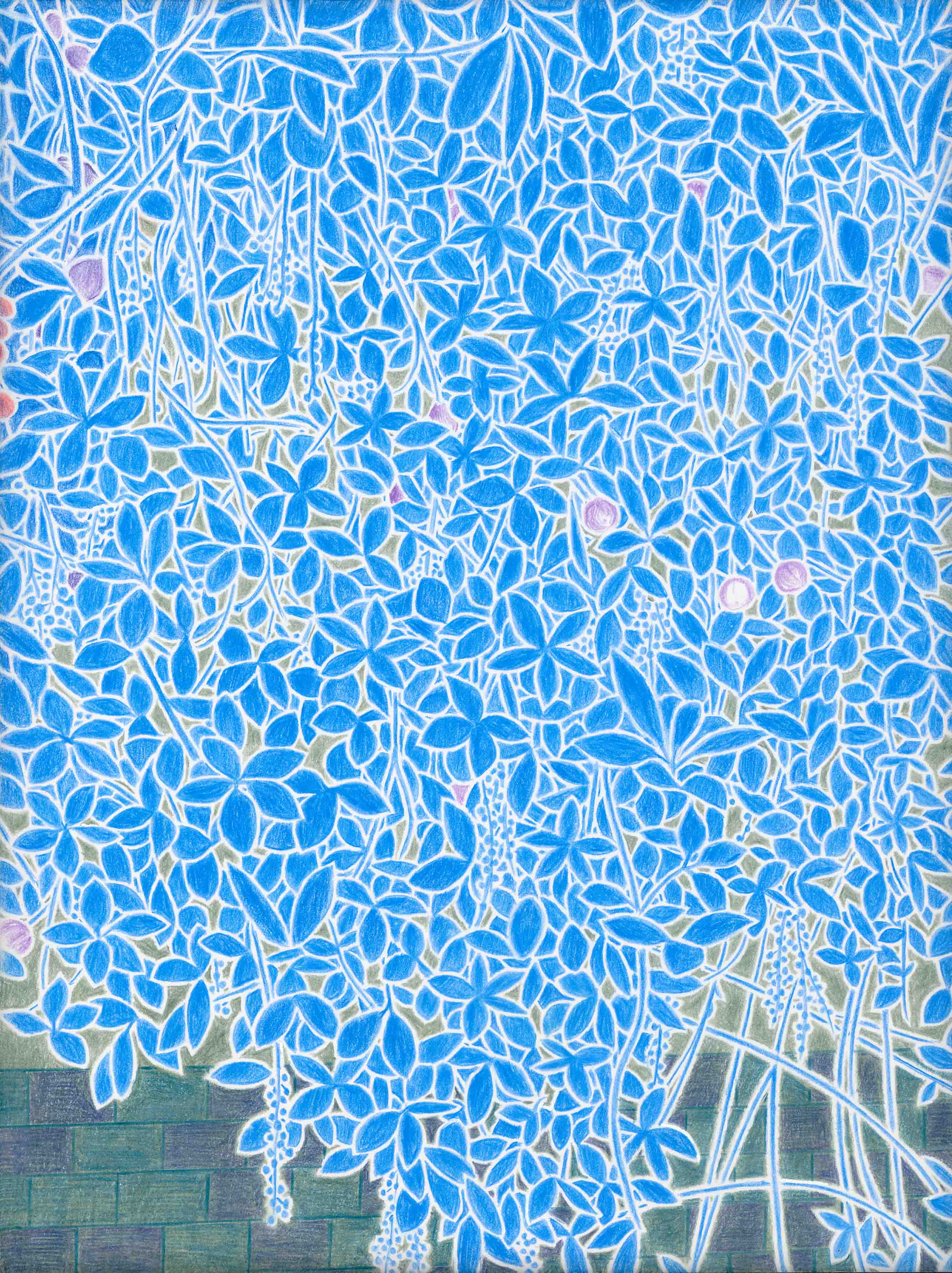 Timothy BAIR-Wall Flowers - 非池中藝術網